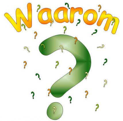 De kracht van waarom - Ambitious Training & Advies